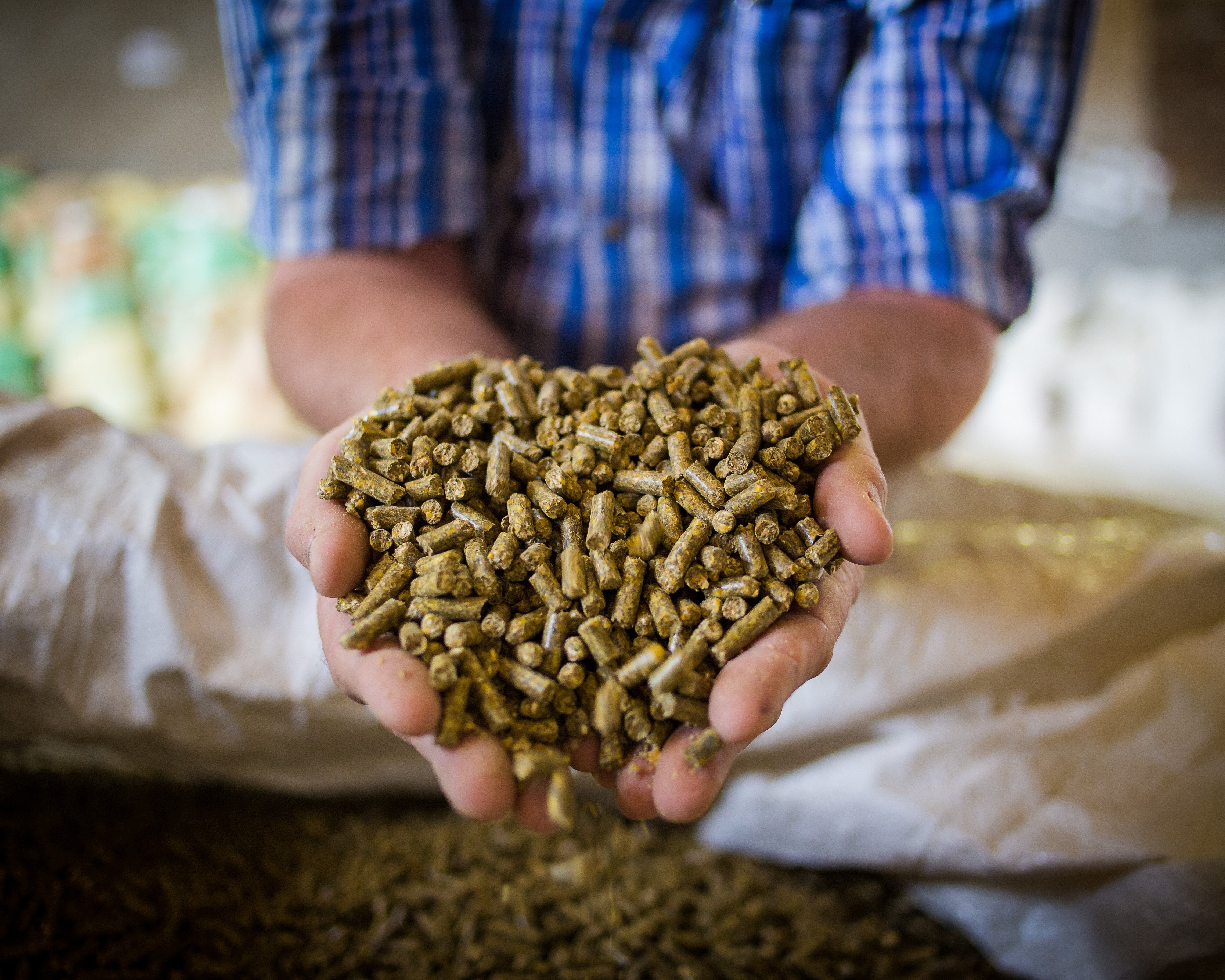 How to Improve Feed Freshness with Savvy Packaging Equipment Selection